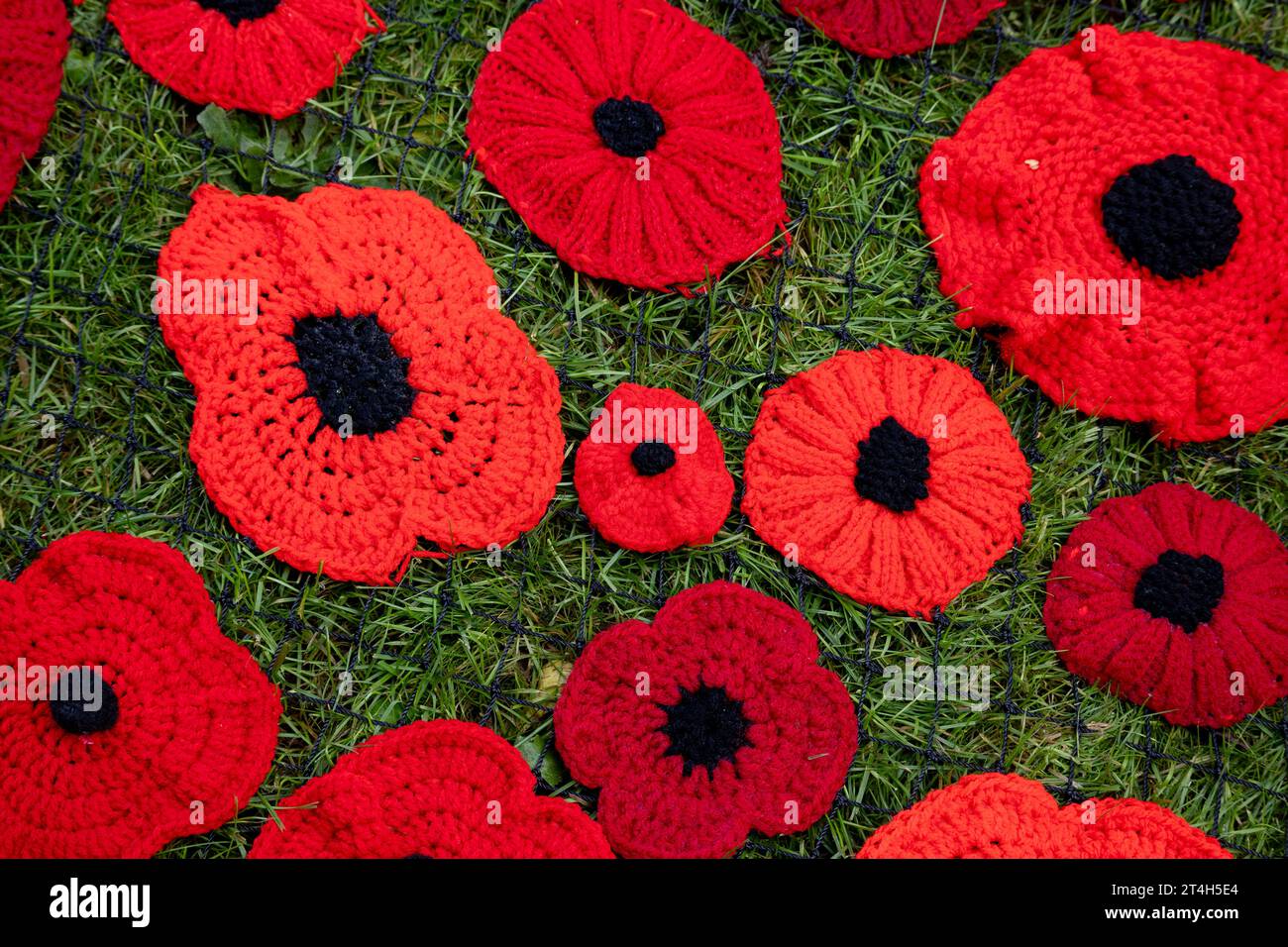 Knitted poppies at St. Peter`s Church, Wellesbourne, Warwickshire ...