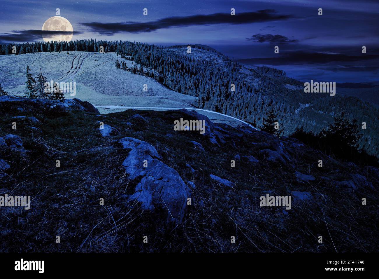hillside of mountain range with coniferous forest and meadow in autumn ...