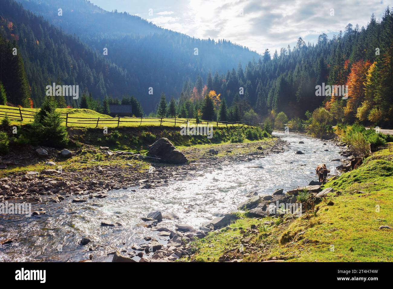 Fen in shallow valley hi-res stock photography and images - Alamy