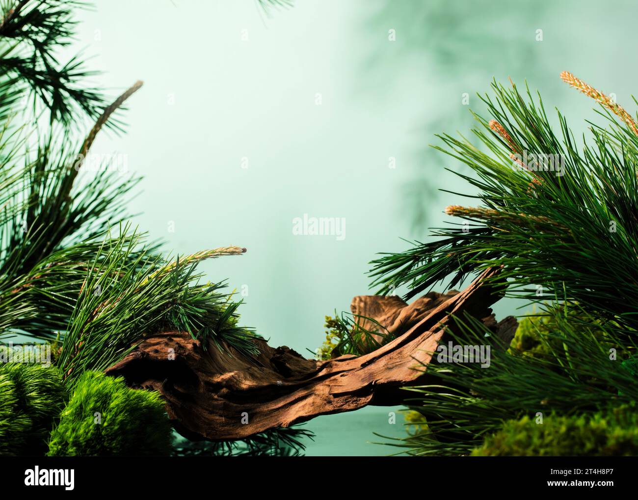 Skills hi res hi-res stock photography and images - Alamy