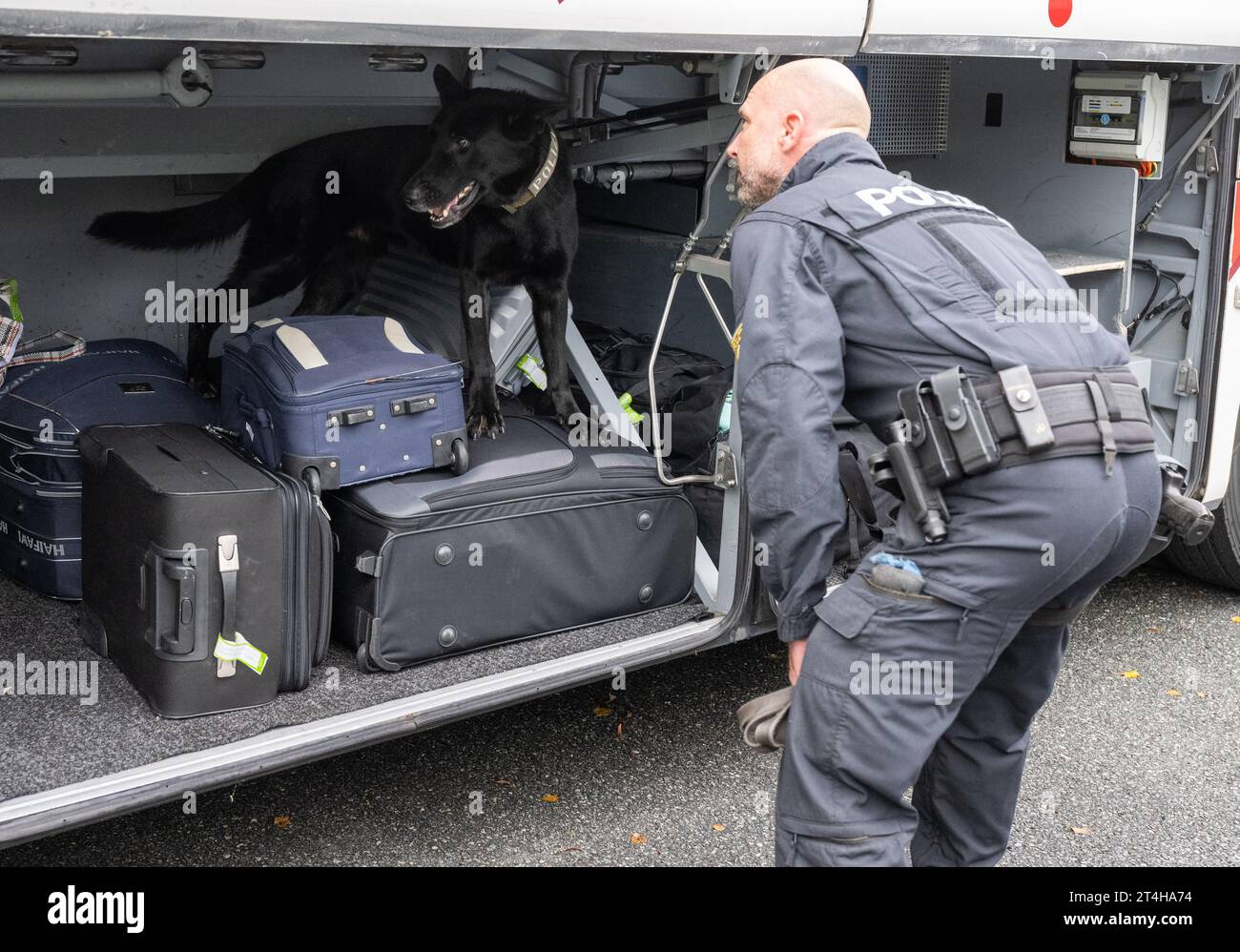 Dog handler police vehicles hi-res stock photography and images - Alamy