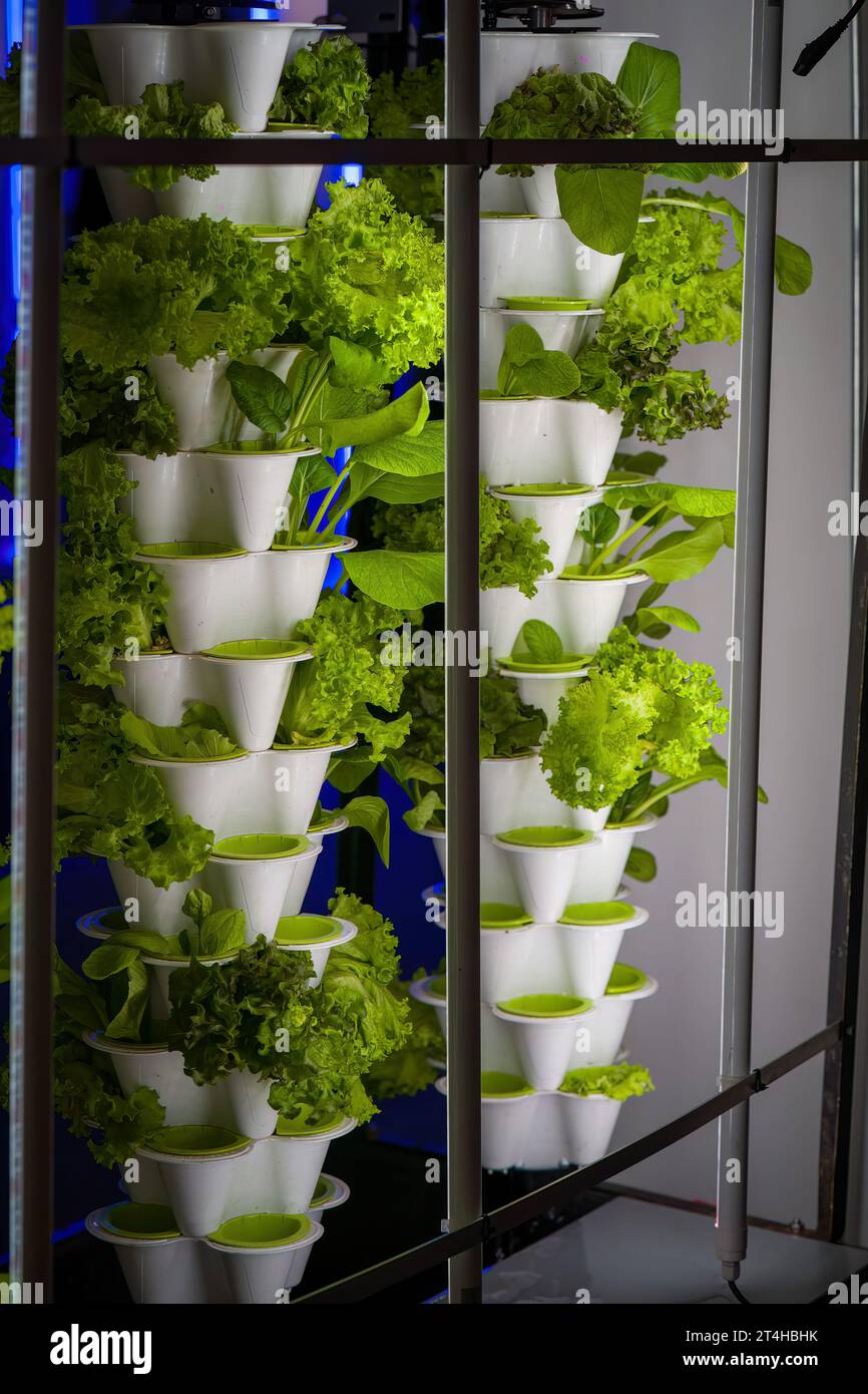Vertical hydroponic gardens hi-res stock photography and images - Alamy