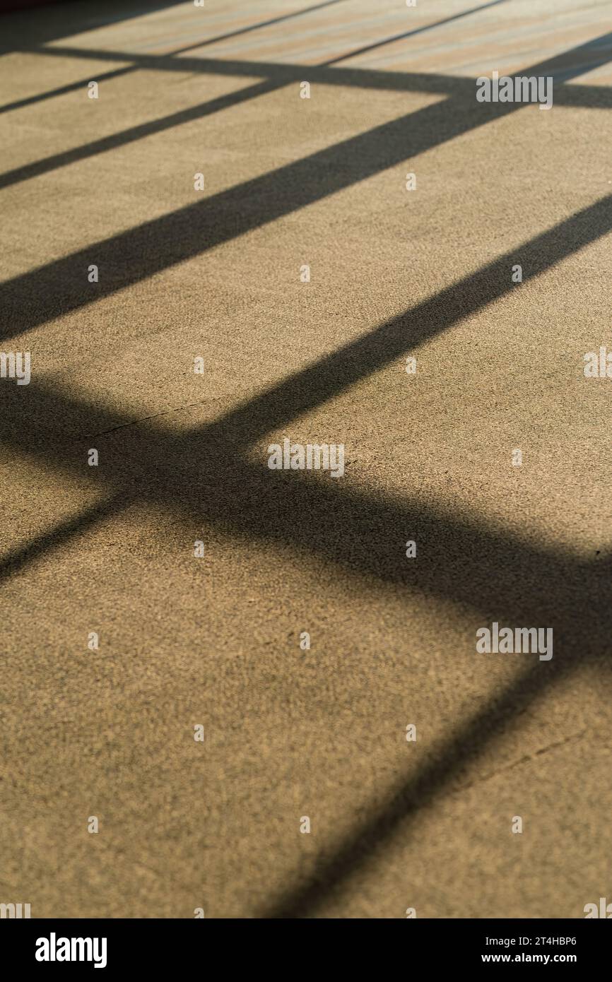carpet with abstract lines on surface, sunlight on the rug, silhouettes ...