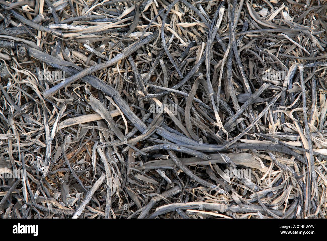 Straw ash, closeup of photo Stock Photo - Alamy