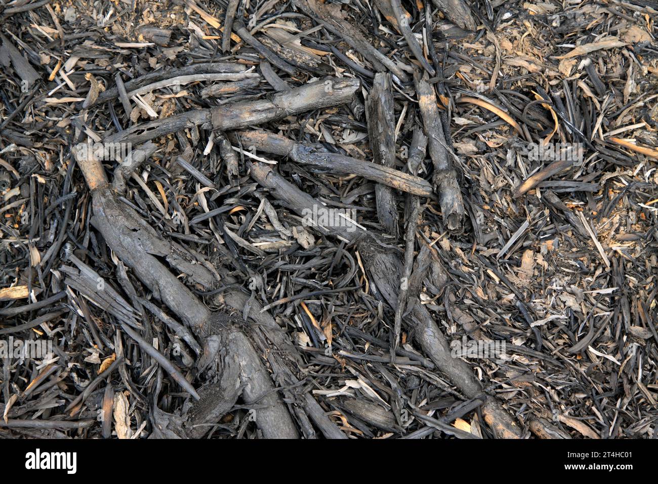 Straw ash, closeup of photo Stock Photo - Alamy