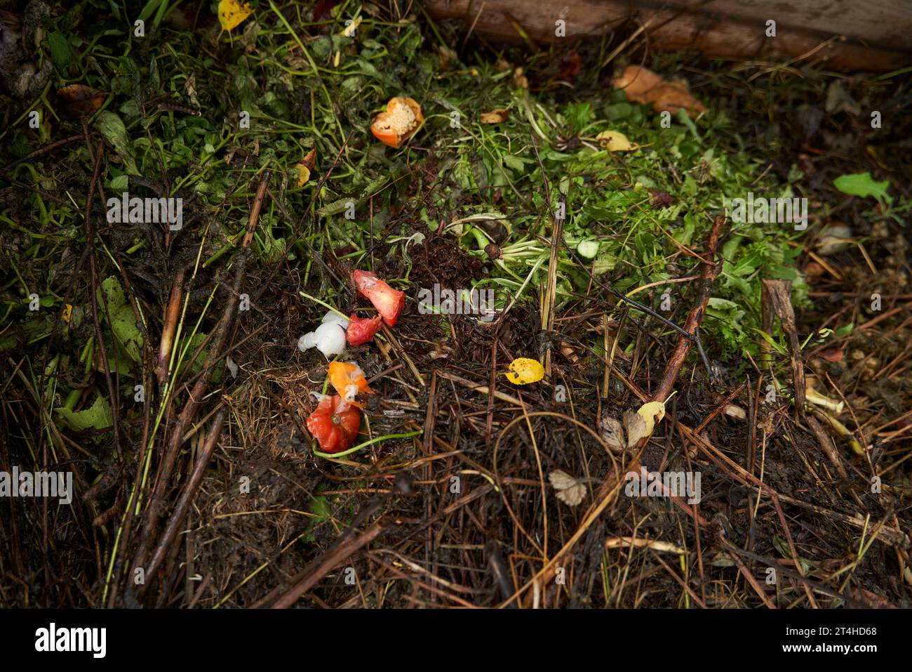 Compost bin in the garden. Food biodegradable waste is composting and ...