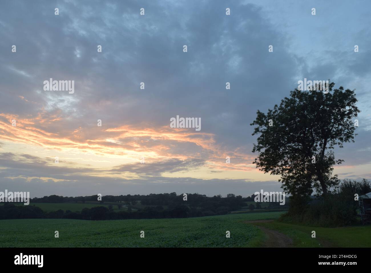 Don minnaar hi-res stock photography and images - Alamy