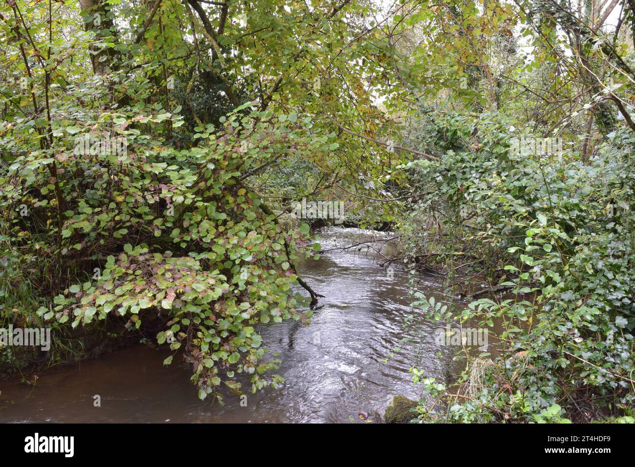 A young River Aulne begins it's journey, Bolazec, Finistere Bretagne ...