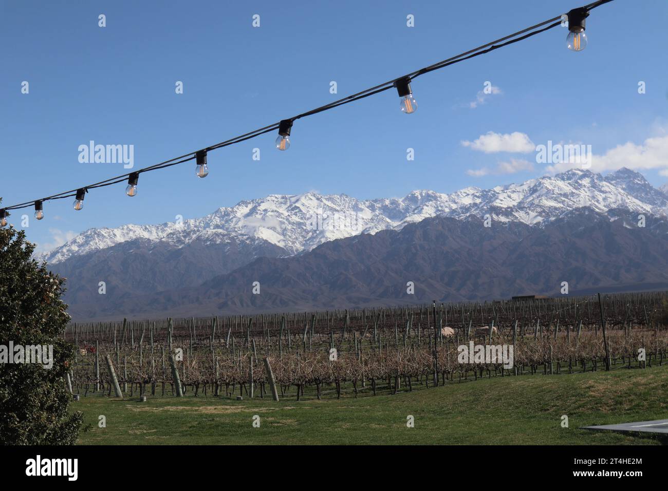 Sunny autumn afternoon by the Andes mountains at province of Mendoza ...