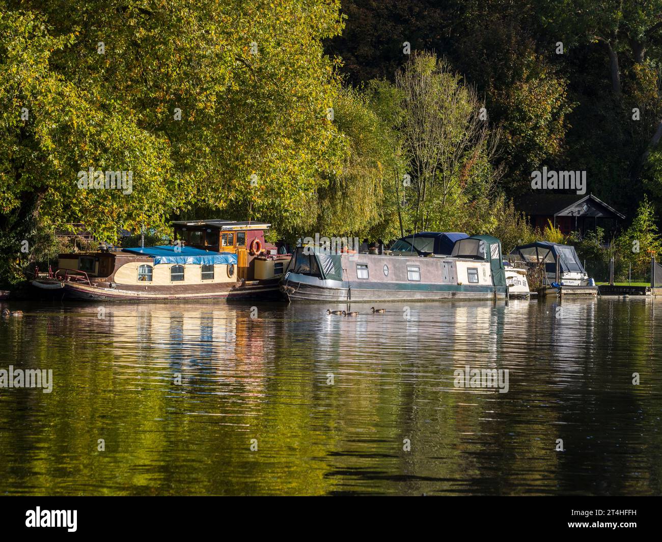 Landscape of Narrow Boats, Caversham, River Thames, Reading, Berkshire ...