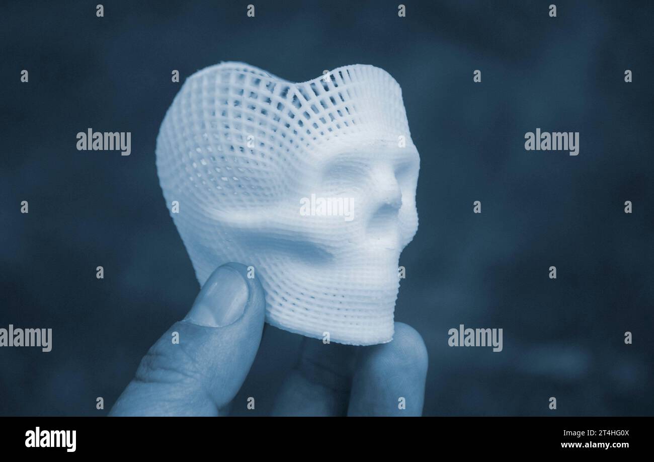 Person holding in fingers of hand small prototype of human skull 3D ...