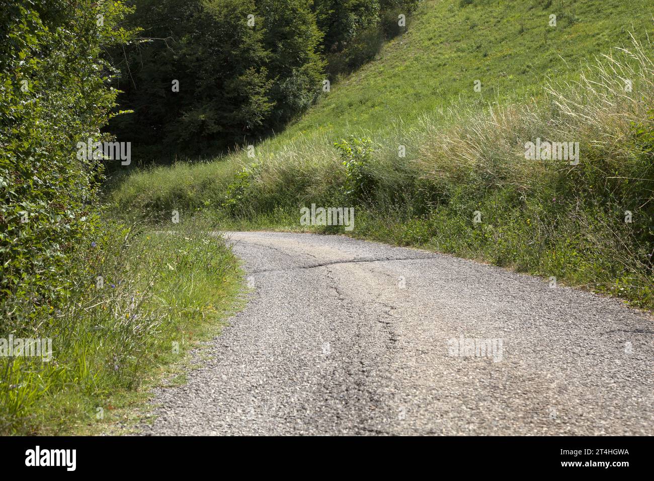 Road in a park by the hillside at sunset Stock Photo - Alamy