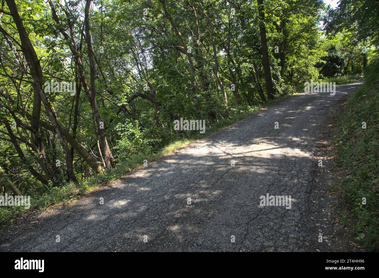 Road in a park by the hillside at sunset Stock Photo - Alamy