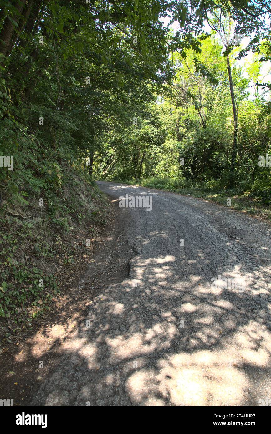 Road in a park by the hillside at sunset Stock Photo - Alamy