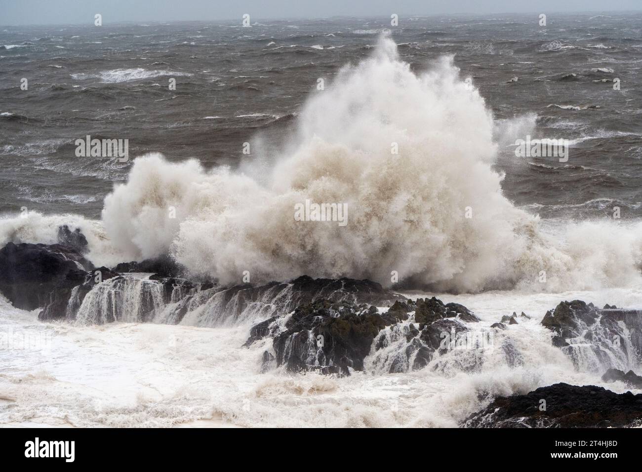 St Abbs Harbour, St Abbs, Berwickshire, Scotland, UK - photograph taken ...