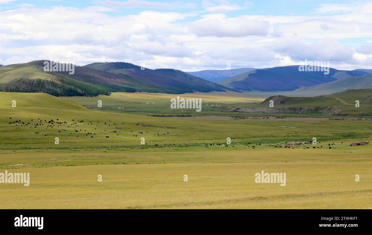Landscape of the Orkhon Valley in Mongolia Stock Photo - Alamy