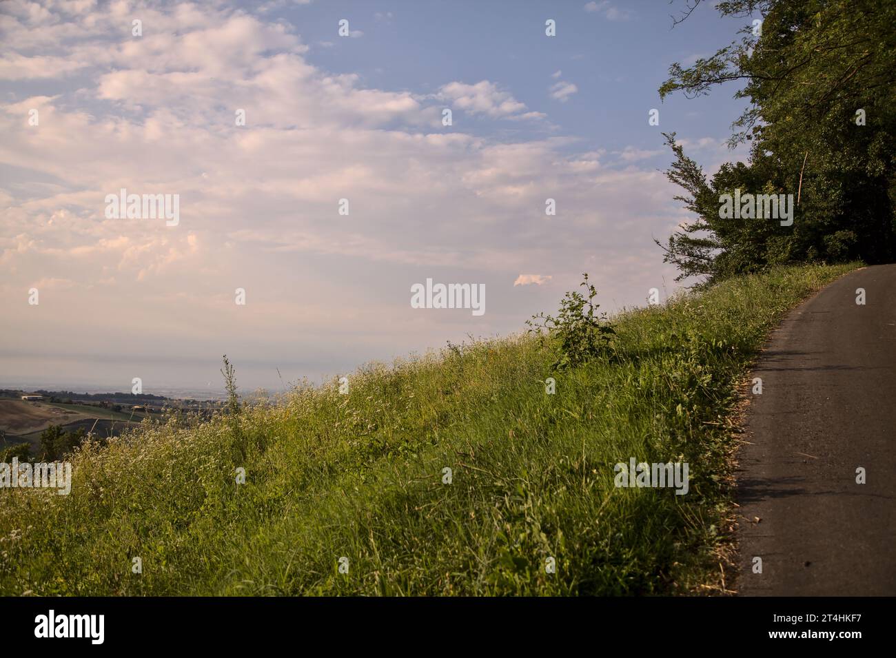 Road in a park by the hillside at sunset Stock Photo - Alamy