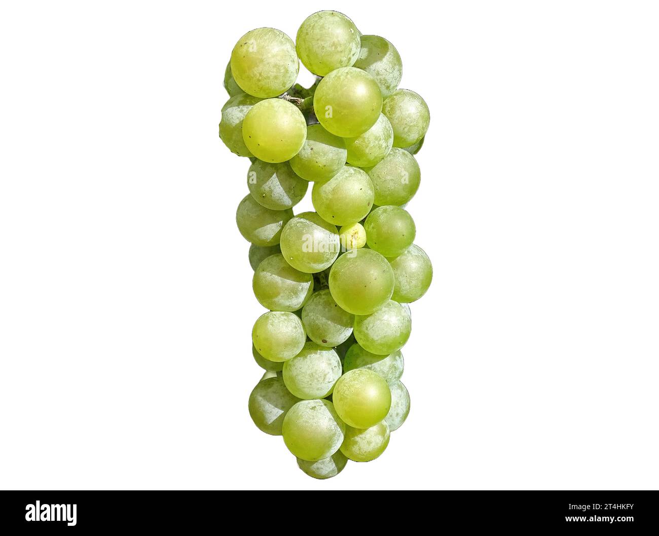 Ripe yellow grapes isolated on white background Stock Photo - Alamy