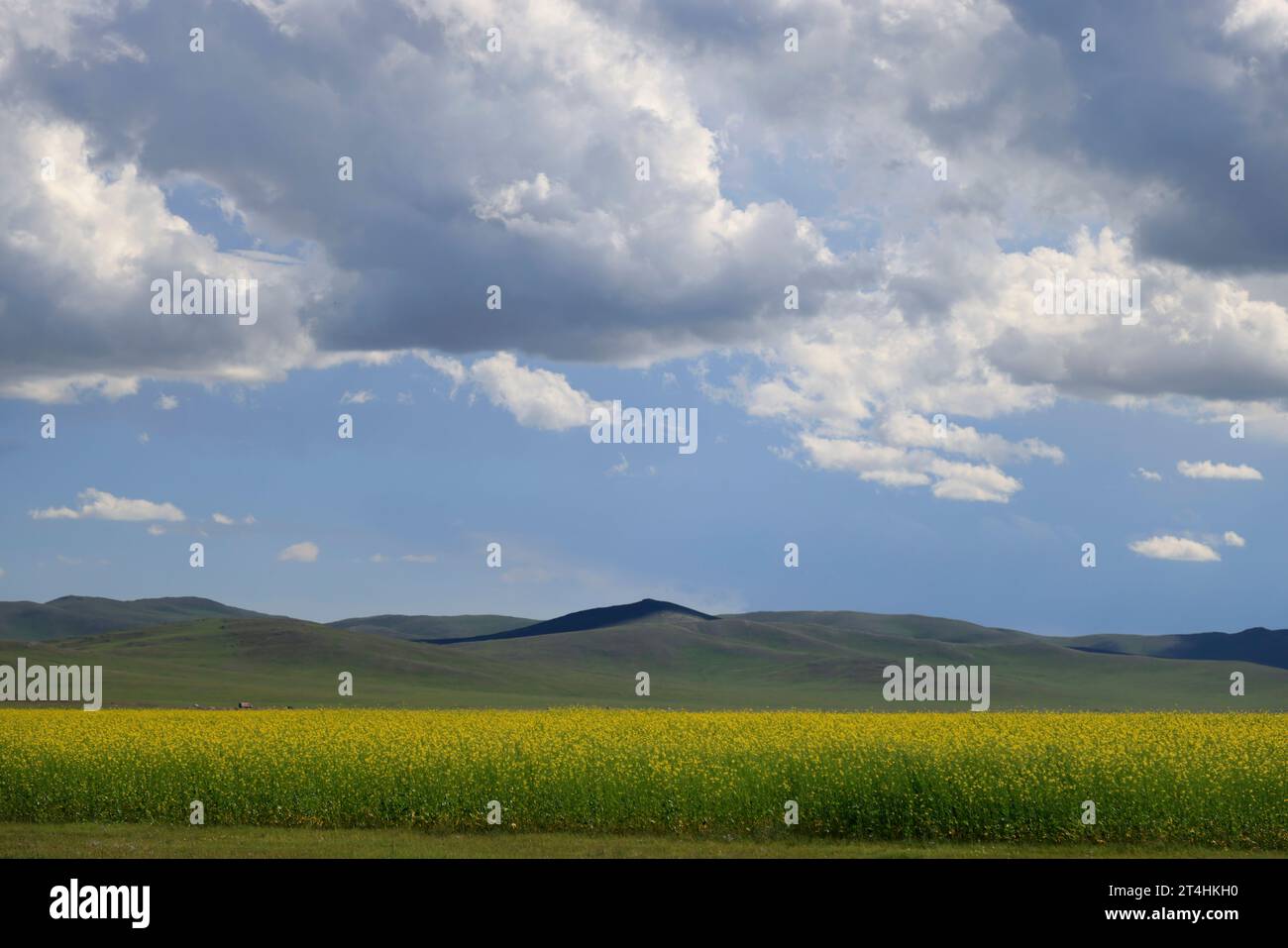Landscape of the Orkhon Valley in Mongolia Stock Photo - Alamy