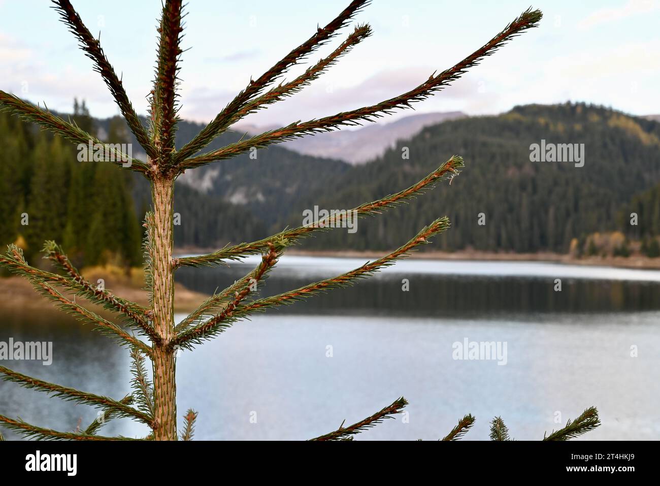 Bolboci lake hi-res stock photography and images - Alamy