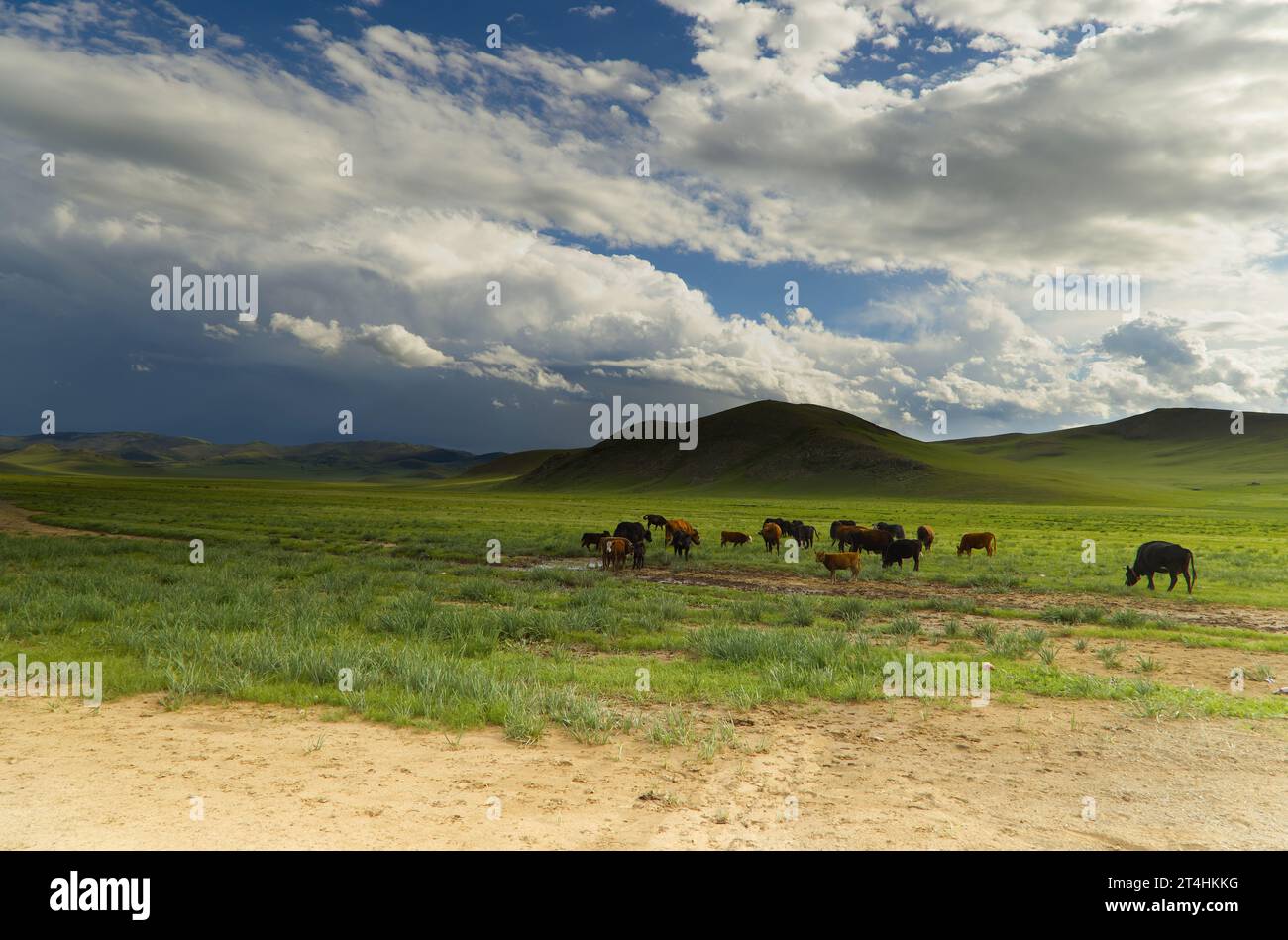 Landscape of the Orkhon Valley in Mongolia Stock Photo - Alamy