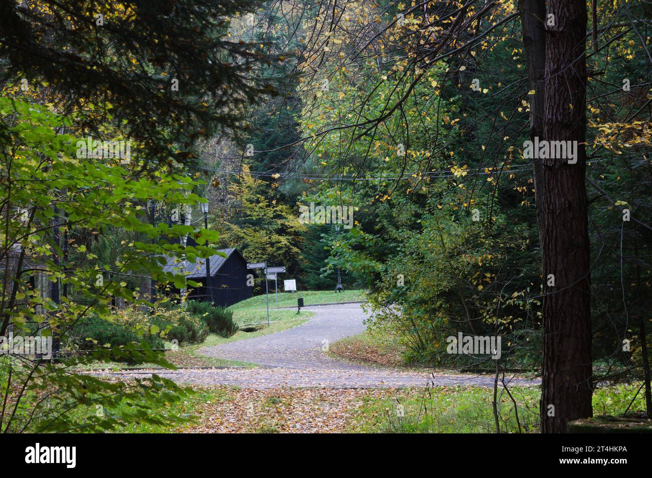 Outlook on a cabin in the woods through the autumn leaves Stock Photo ...