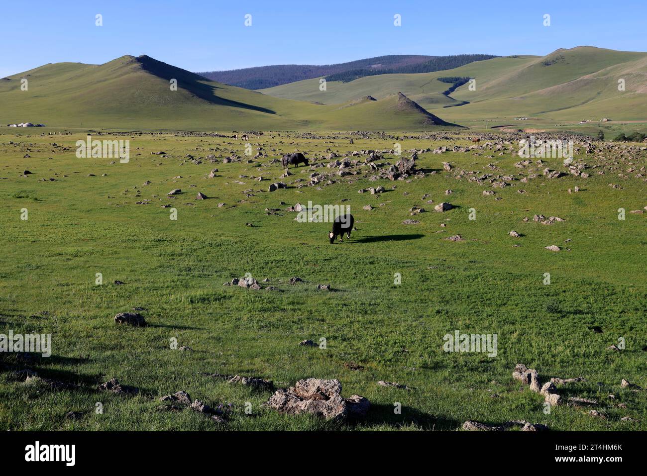 Landscape of the Orkhon Valley in Mongolia Stock Photo - Alamy