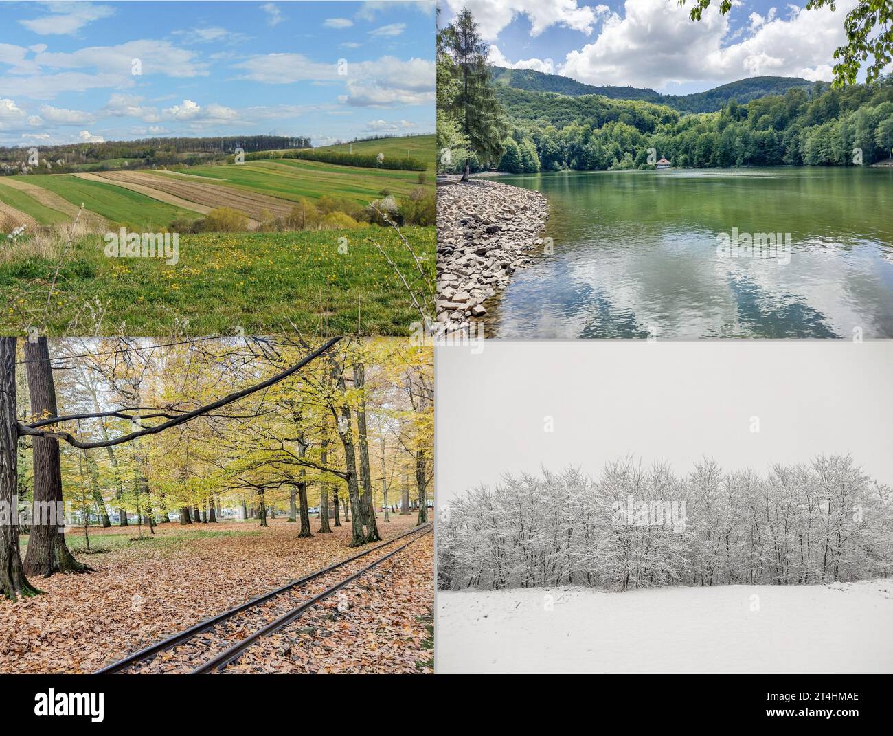 The four seasons in one image. Collage with spring, summer, autumn ...