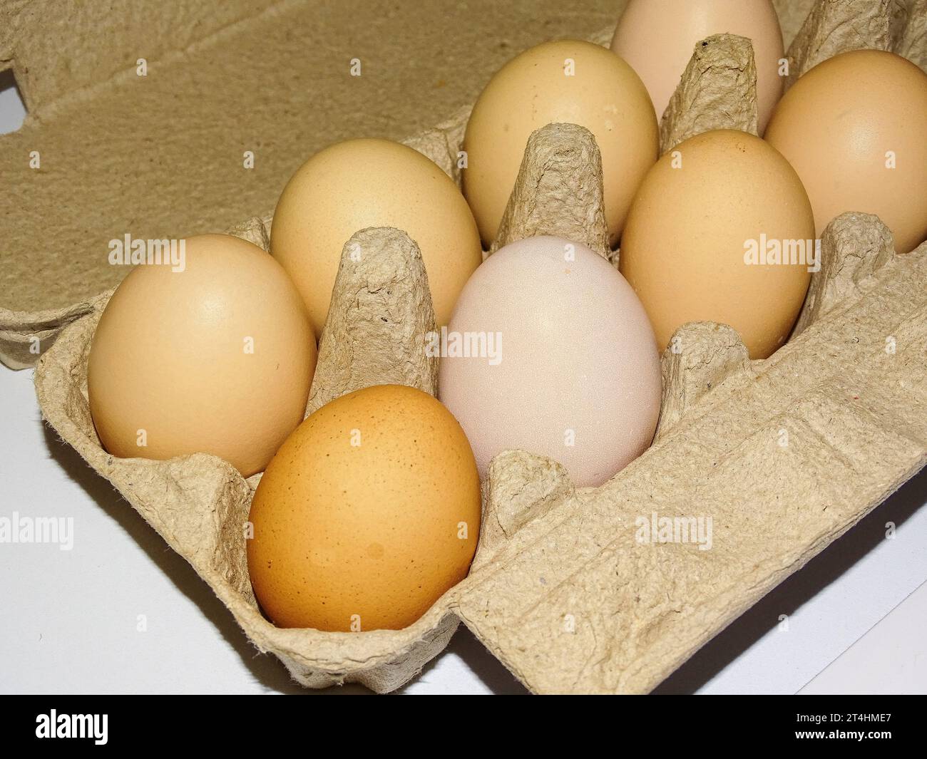 Chicken eggs in a formwork Stock Photo - Alamy