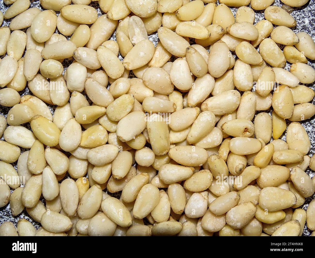 Pile of pine seeds. Pine seeds background Stock Photo - Alamy