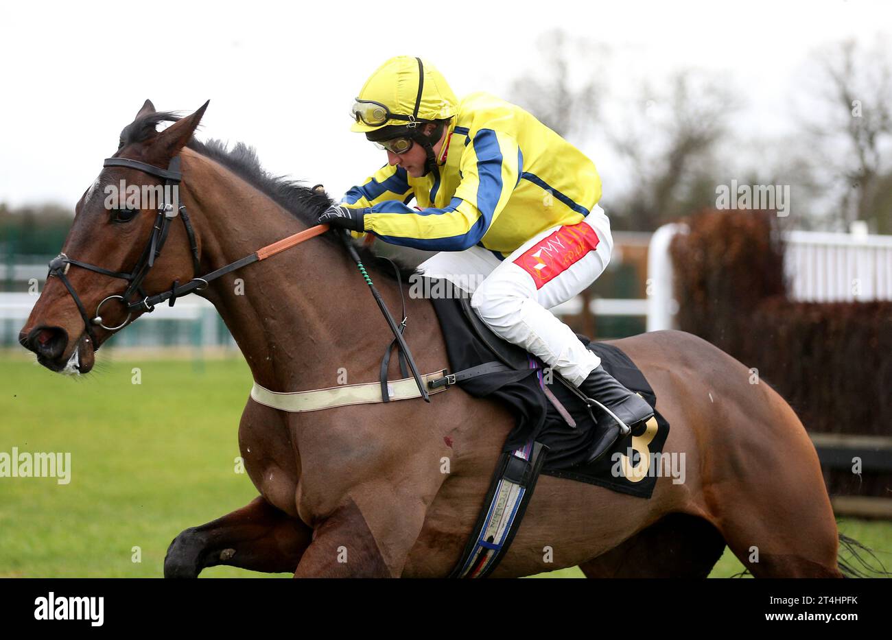 File photo dated 14-01-2023 of Haddex Des Obeaux ridden by Jamie Moore ...