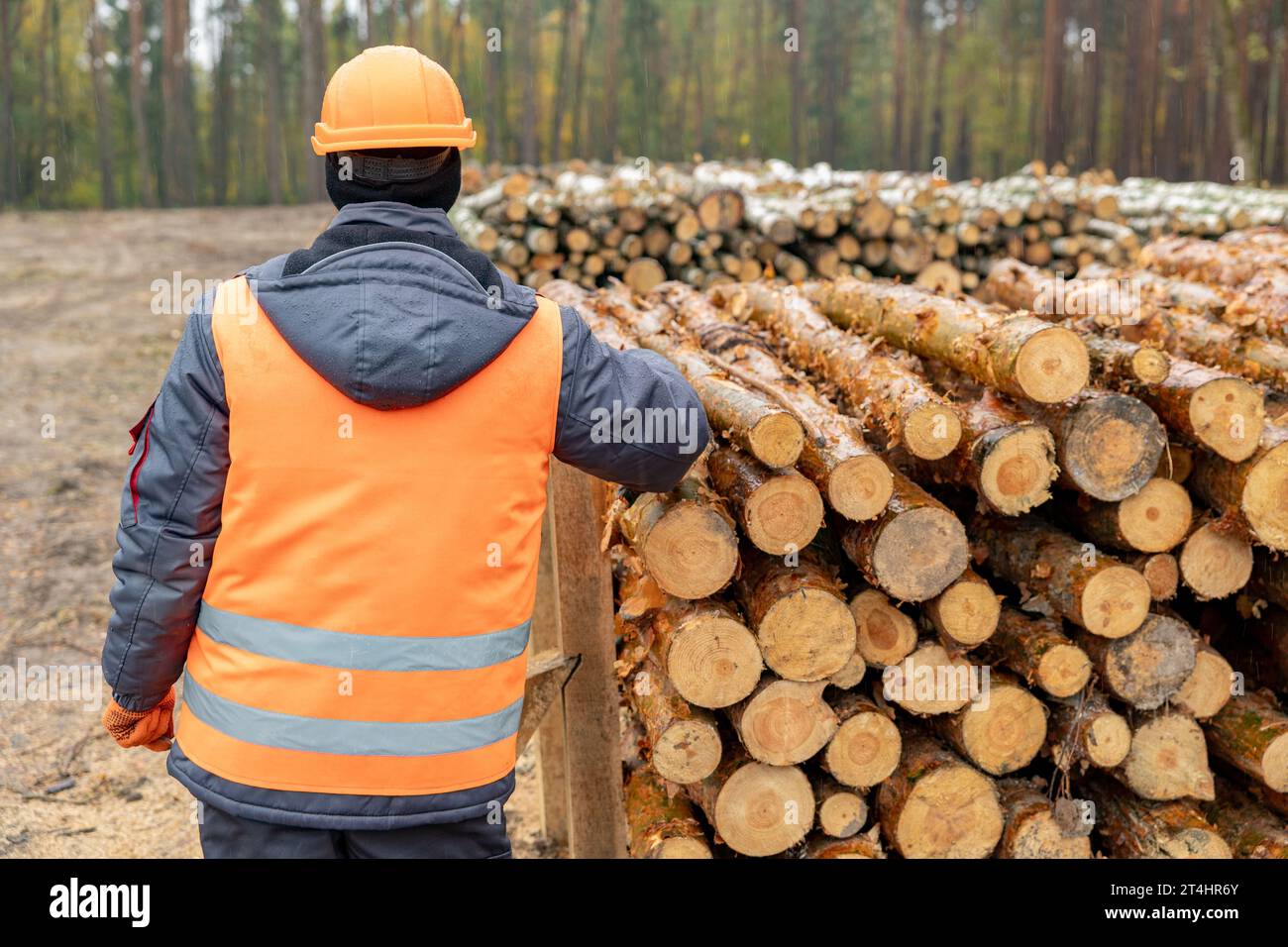 man in helmet worker wood lumber stands with his back leaning on ...