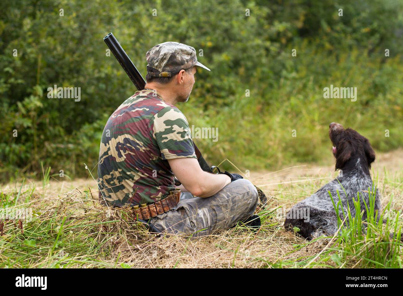 Hunter hunting dog on hi-res stock photography and images - Alamy
