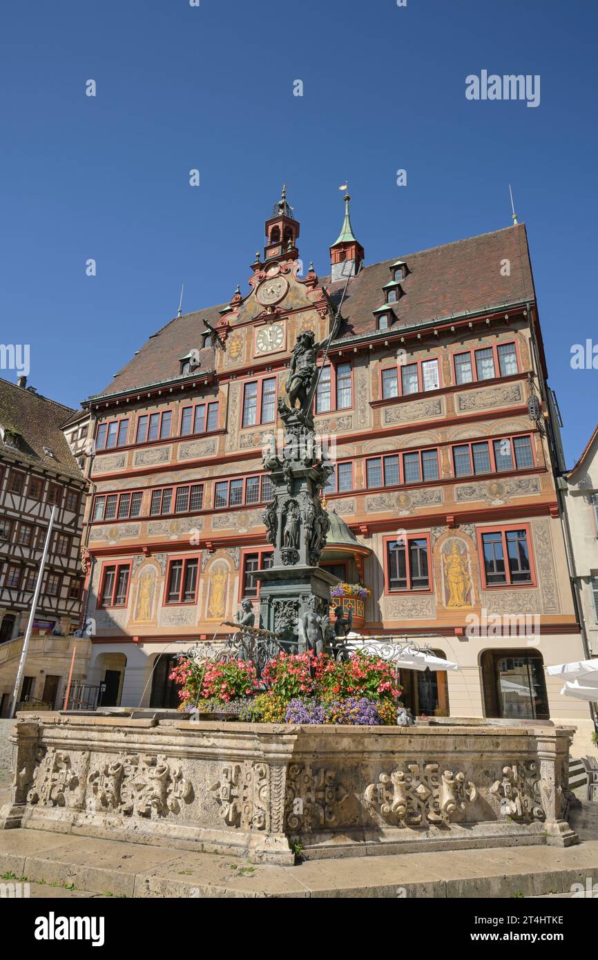 Neptunbrunnen, Altes Rathaus, Am Markt, Tübingen, Baden-Württemberg ...
