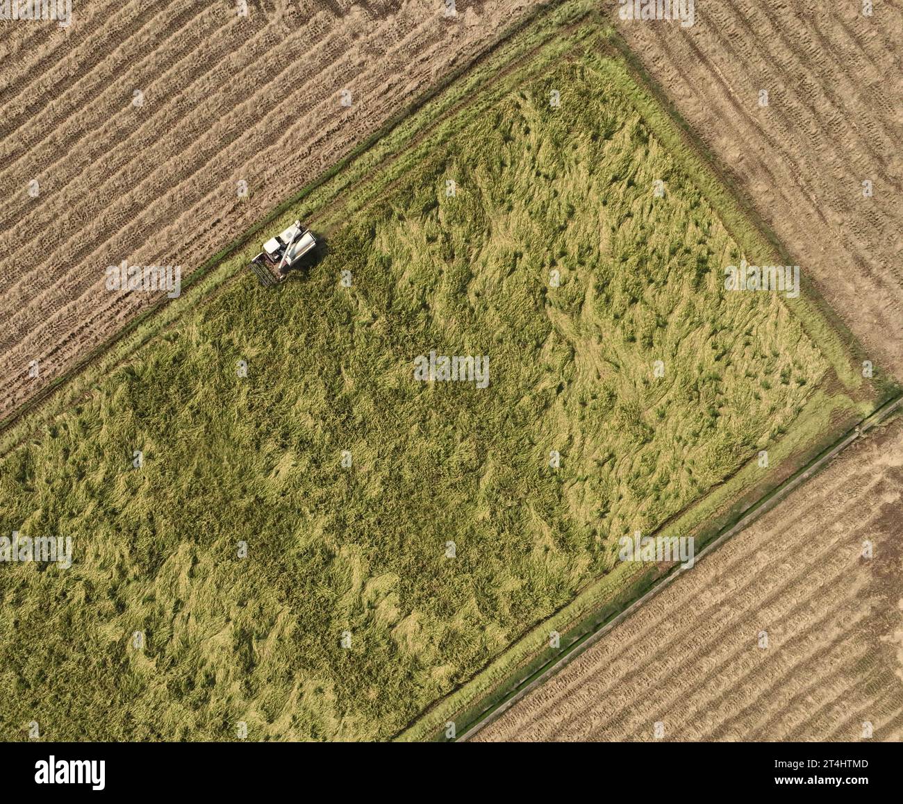 Beijing, China's Hunan Province. 30th Oct, 2023. This aerial photo ...