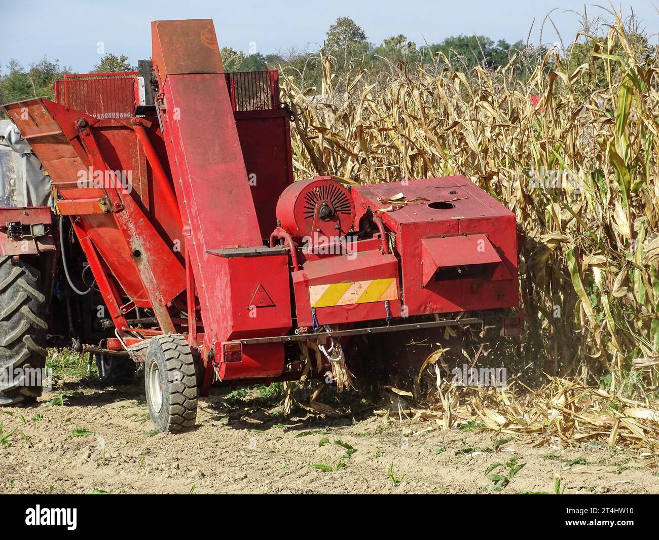 A tractor harvests corn from the field. In Maramures county, Romania ...