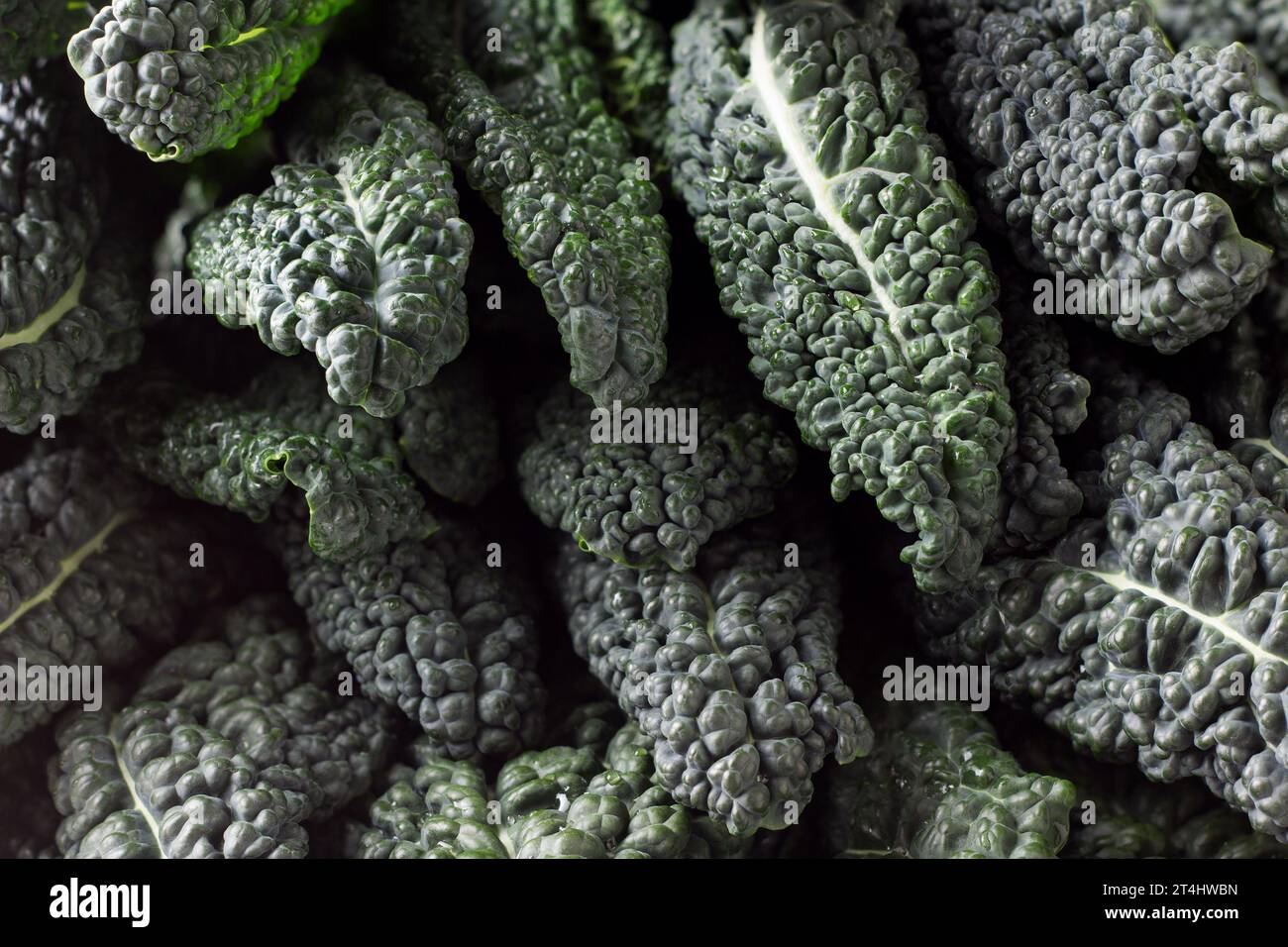 Black tuscan kale (cavolo nero or lachinato kale), background, texture ...