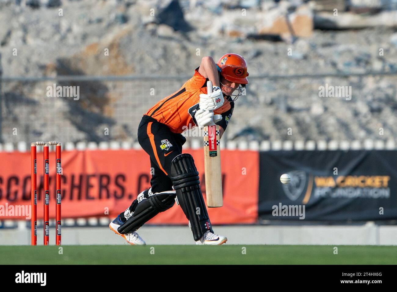 Perth, Australia. 31st Oct, 2023. Perth, Australia, October 31st 2023 ...