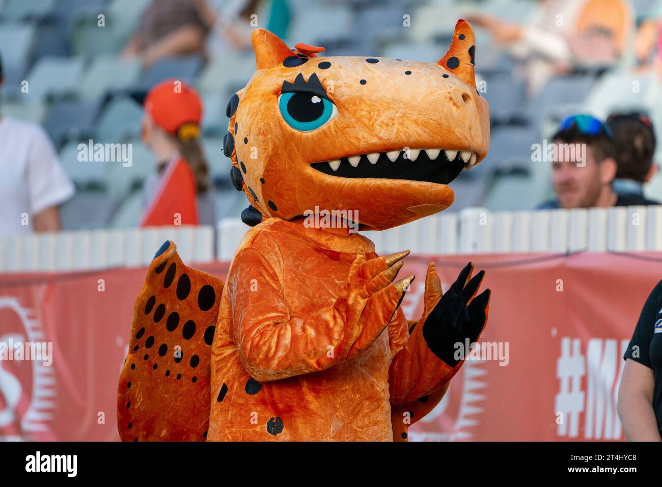 Sydney sixers mascot hi-res stock photography and images - Alamy