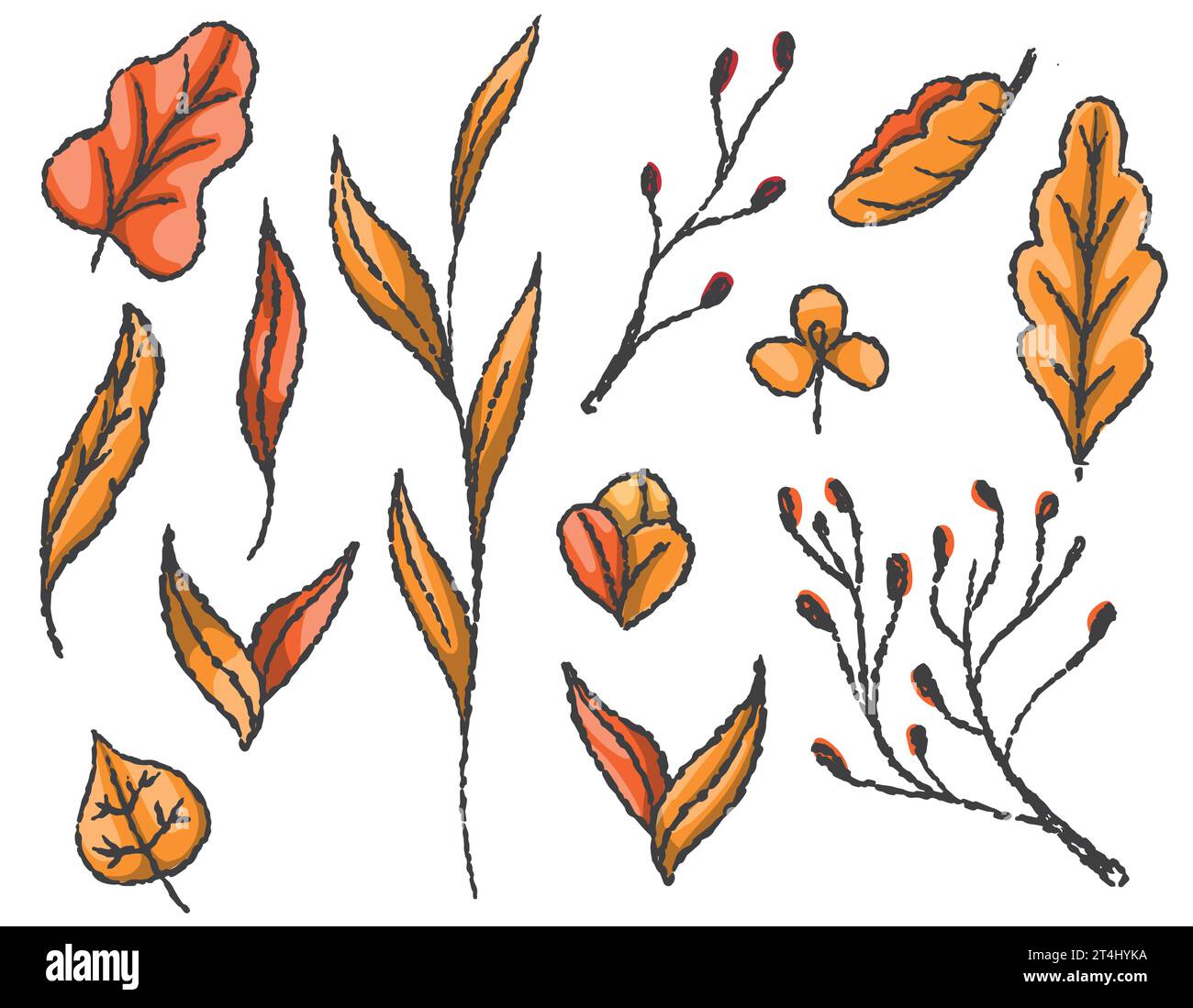 Fallen autumn leaves herbarium Stock Vector Images - Alamy