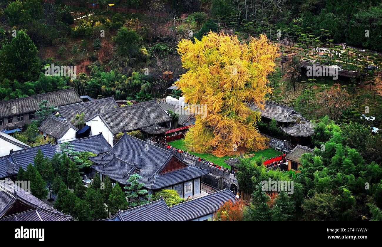 Xi'an. 31st Oct, 2023. This aerial photo taken on Oct. 31, 2023 shows a ...