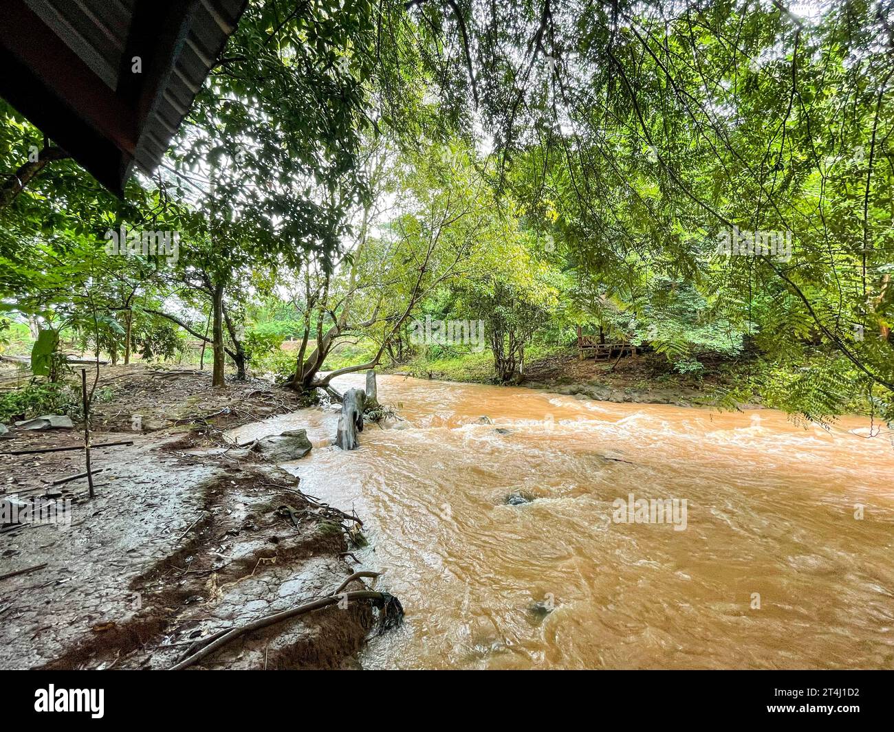 Cambodia, Ratanakiri region, surroundings of Banlung, local river Stock ...