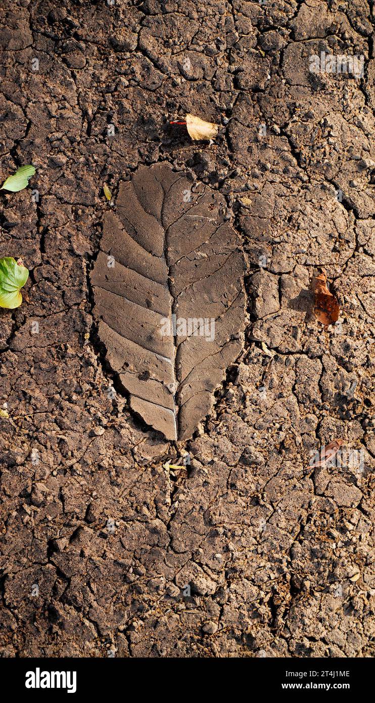 Soil ecosystems hi-res stock photography and images - Alamy