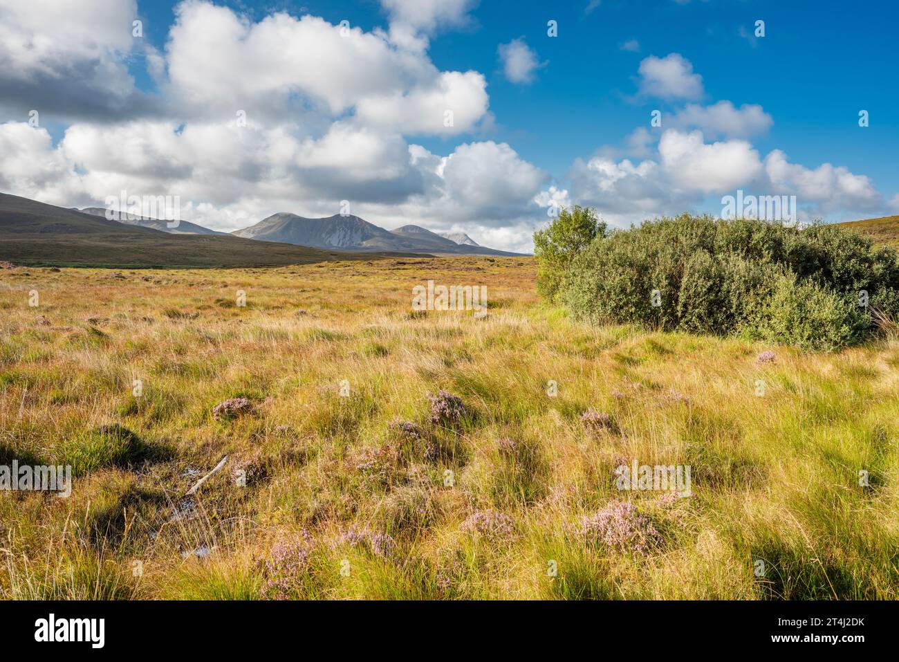 View across bogland towards the Derryveagh Mountains, including the ...
