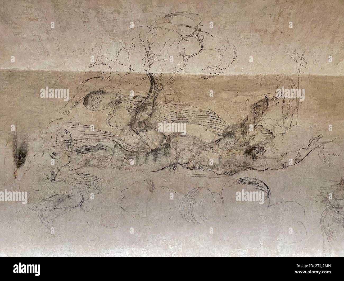 Delicate charcoal drawings that some experts have attributed to ...