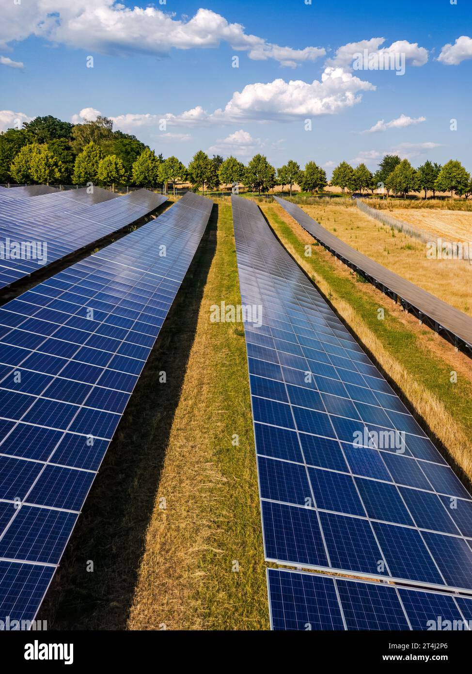 Upright detail image of rows of solar modules of a ground mounted ...