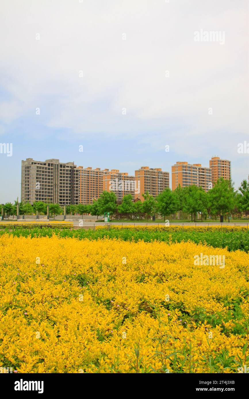 Urban construction scenery, closeup of photo Stock Photo - Alamy