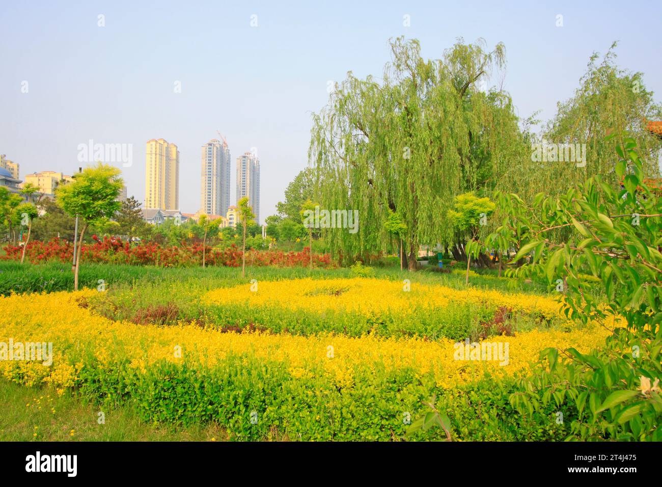 Greening plants in a park, closeup of photo Stock Photo - Alamy