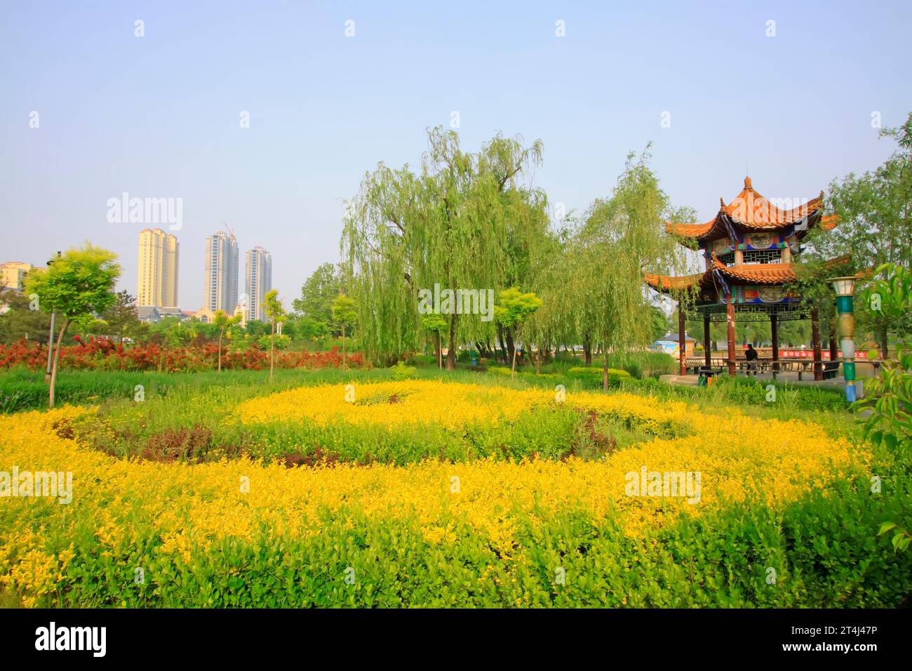 Greening plants in a park, closeup of photo Stock Photo - Alamy