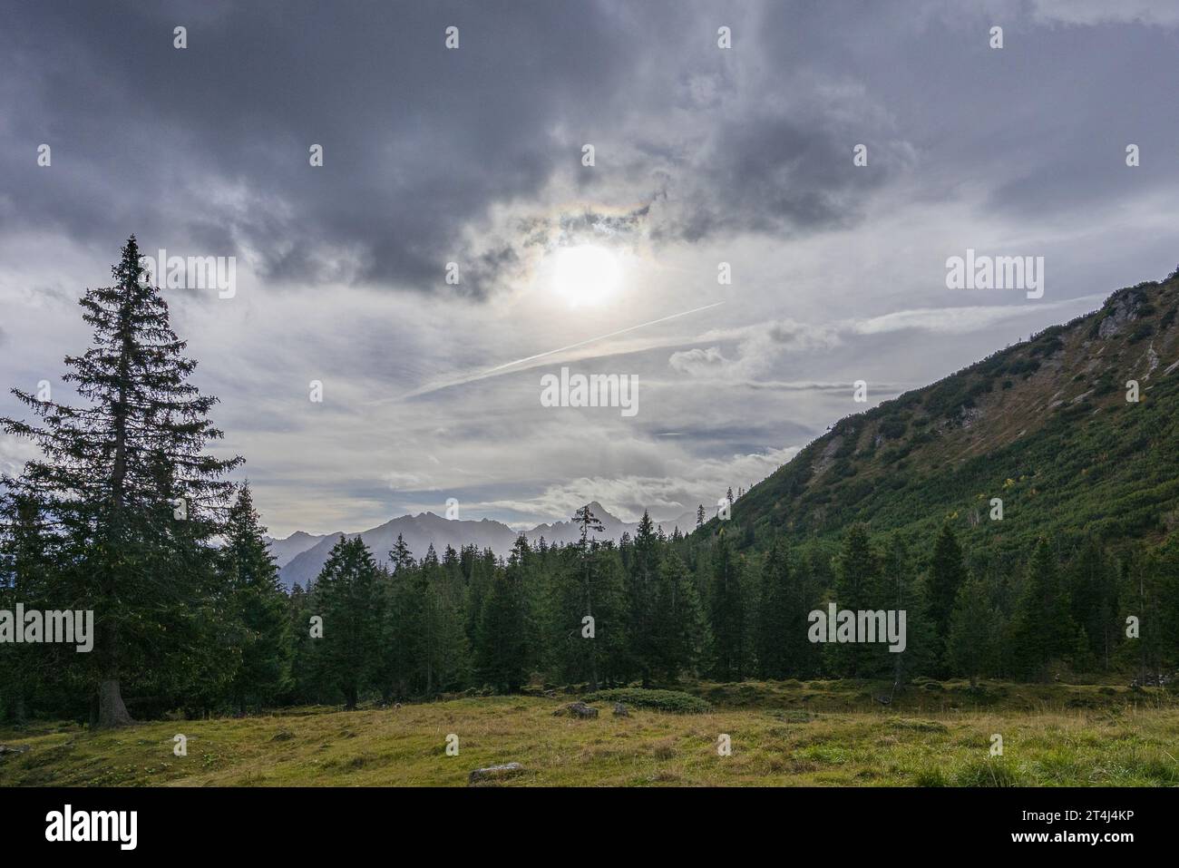Alpine landscape with summits in autum Stock Photo - Alamy